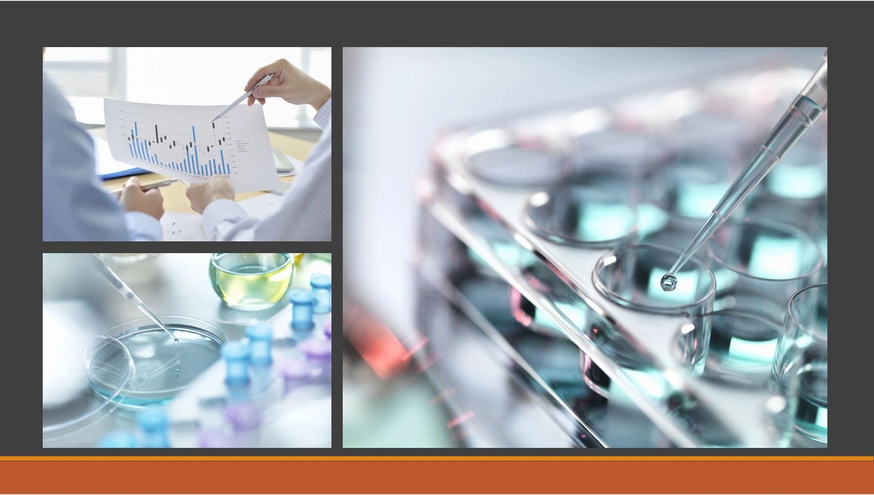Expert Analytical Support for Your Biopharma Needs